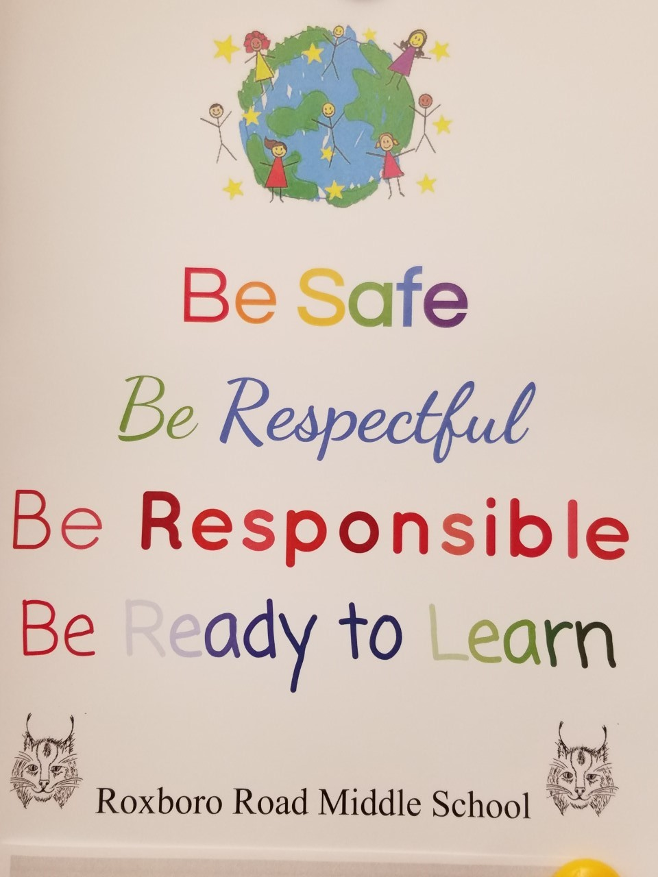 Ms. Cavino's Website | North Syracuse Central School District